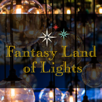 Contact | Fantasy Land of Lights